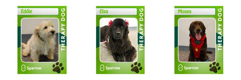 Pet Therapy Program | University of Michigan Sparrow